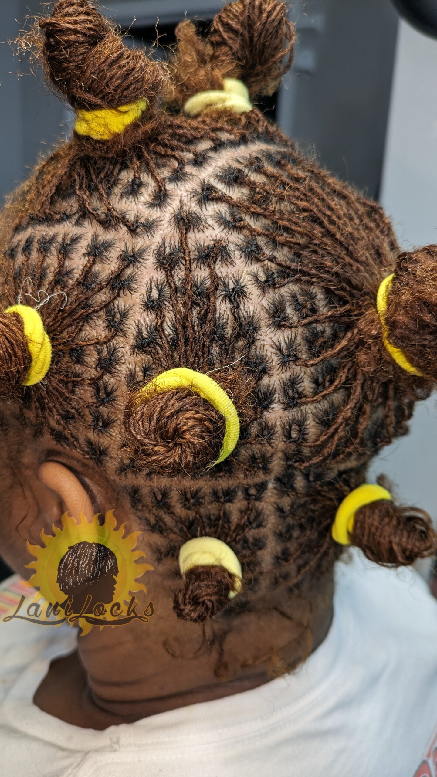 Lani Locks – It’s time to lock your hair